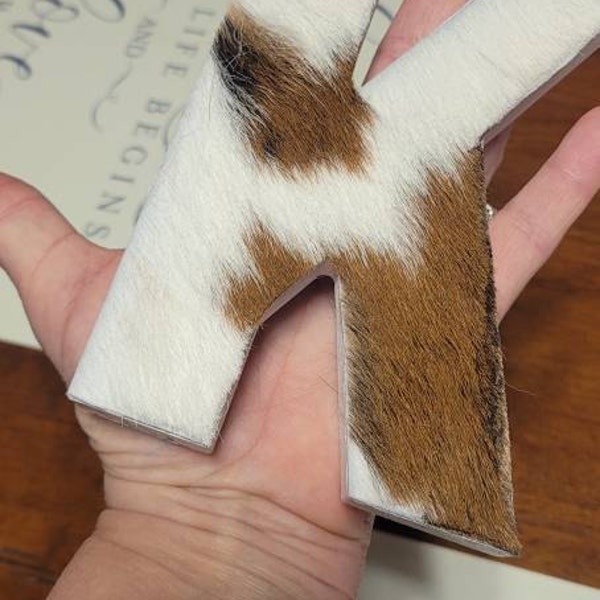 Cowhide Letter, Home Decor, Western, Rodeo, Cowgirl, Cattle, Initial ...