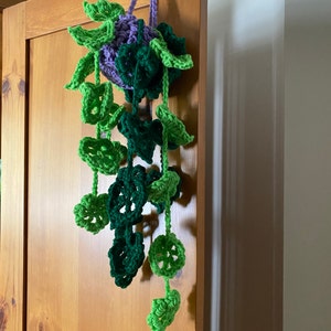 Monstera Hanging Plant Crochet Pattern - Etsy
