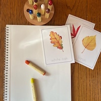 Vegetables Watercolor Flash Cards. Montessori Three Part - Etsy