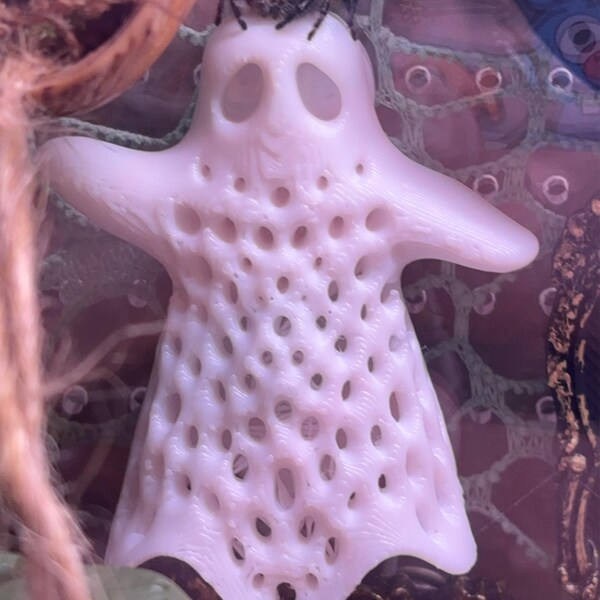 3D Printed Hollow Tattered Ghost Jumping Spider Hide - Etsy