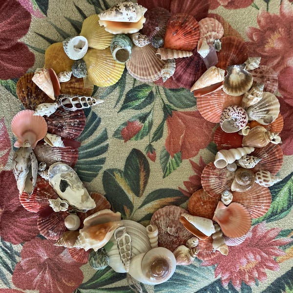 Newbeautiful 12 Seashell Wreath Wall Hanger With Starfish and Sand ...