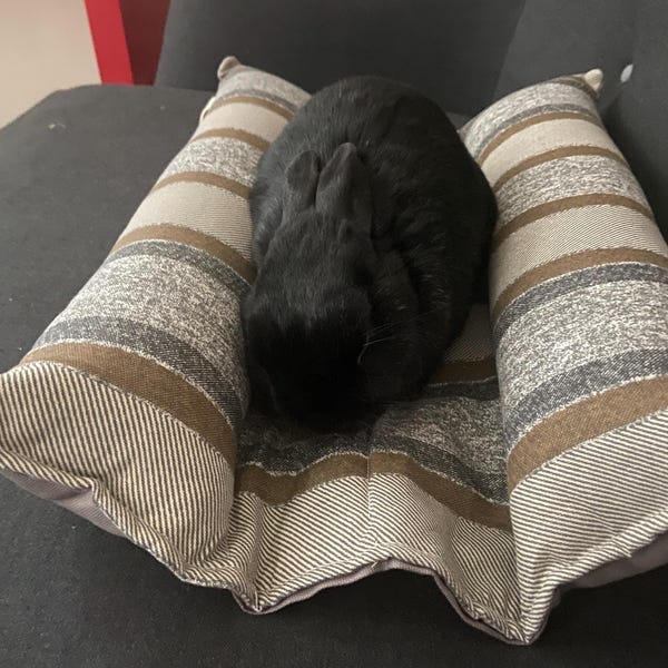 Discounted MYSTERY Classic Hop N' Flop® | Snuggle Burrow Flop Bed for ...