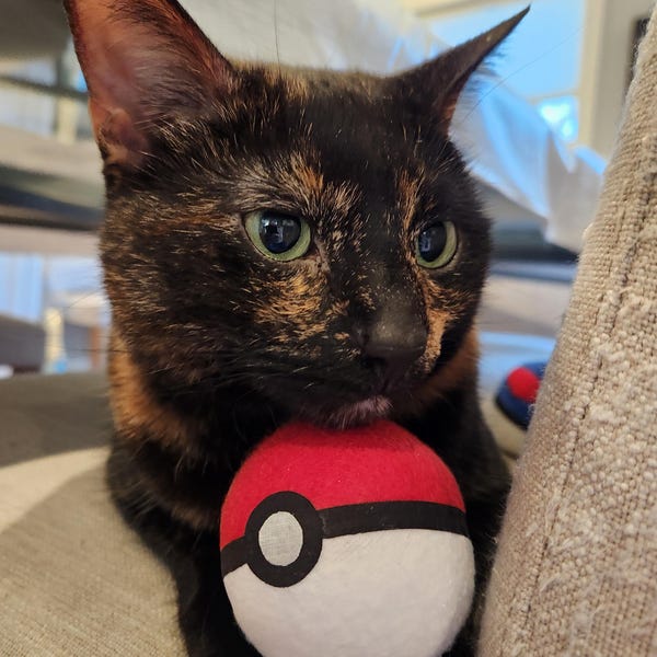 Food Toys for Cats, Cute Sweets for Cats, Donut Toys, Chocolate ...
