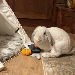 Bunny O's Cereal Treat Rabbit Fruit Loops Inspired Treat | Etsy