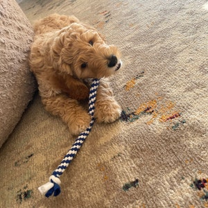 Rainbow Snuffle Rope Dog Toy - Etsy