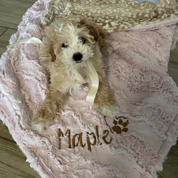 Embroidered Dog Gift, Biscotti Ocelot and You Choose Minky Personalize ...