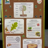 Printable Nature Journal Homeschool Learning Materials Charlotte Mason ...