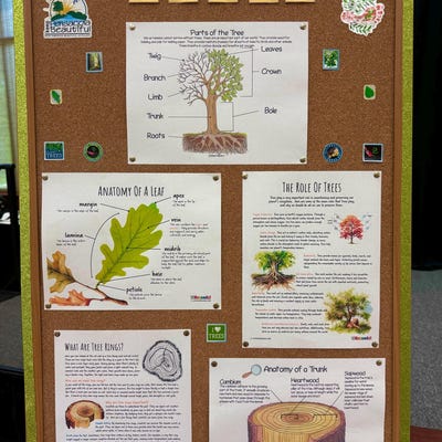 Spring Poster Classroom Printable Wall Art Watercolor Nursery Prints ...