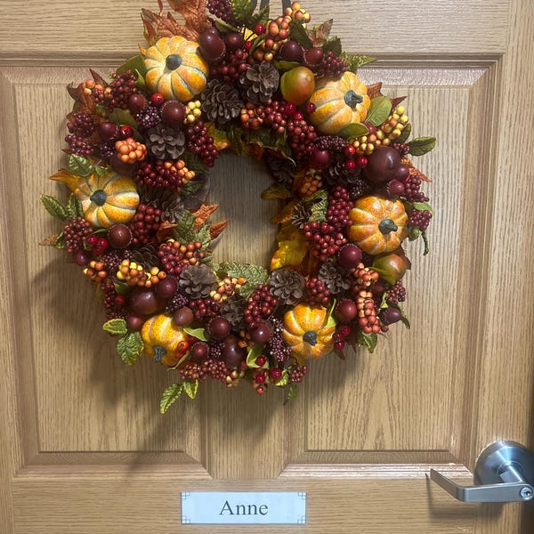 Blush Pink Velvet Bow for Wreath, Velvet Lantern Bow, Swag Bow, Mailbox ...