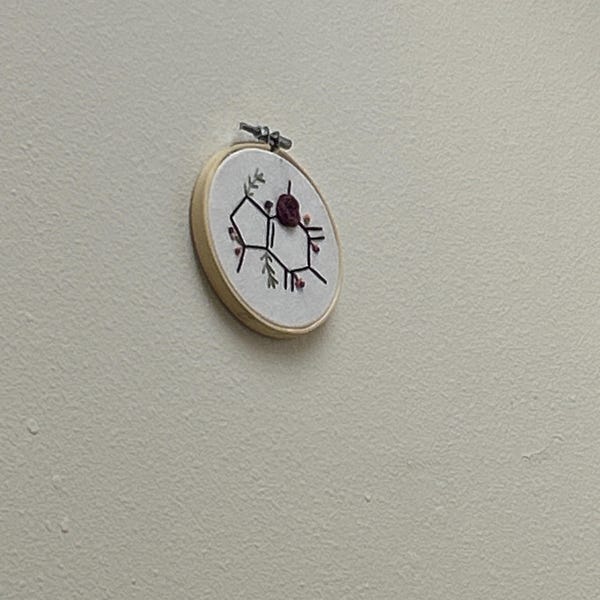 Hand Embroidery, Science Themed Decor, Embroidery Hoop Art, Molecule ...