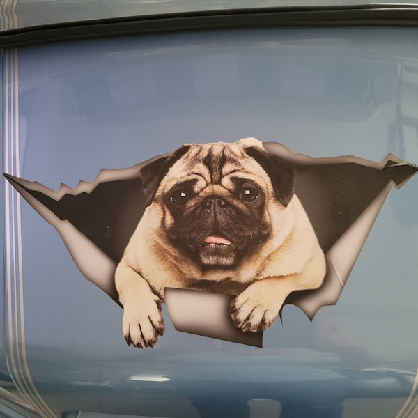 Grizzly 3D Sticker, Cracked Window Decal , Brown Bear Decal - Etsy