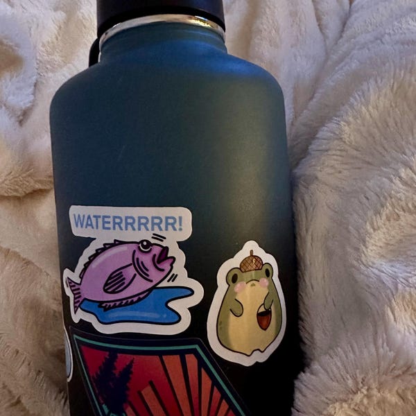 Today's Hyperfixation Vinyl Sticker | Laptop Stickers | Water Bottle ...