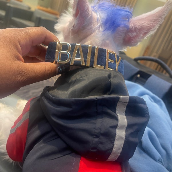 Personalized Dog Collars With Metal Letter Name, Female Dog Collars ...