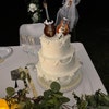 White Wolf Wedding Cake Topper, Animal Cake Topper, Timberwolf Cake ...