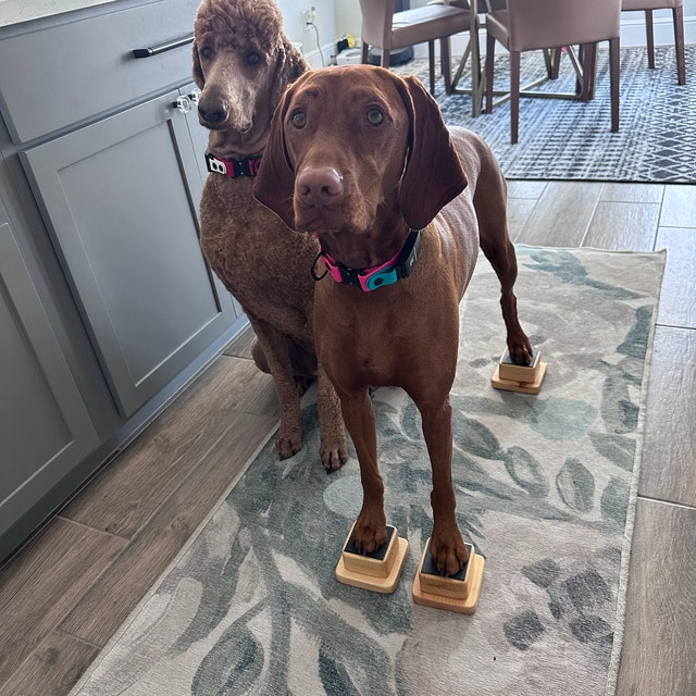 ShowdogStackingBlock - Etsy