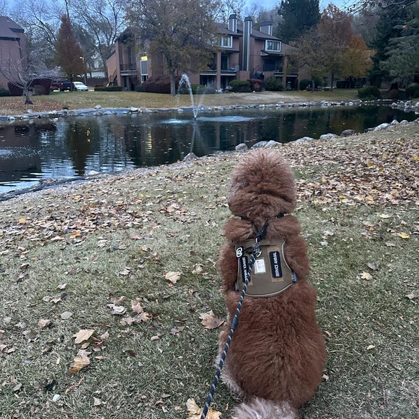 Acrylic Business Sign Bubble Shape With Stand Instagram Tag Business ...