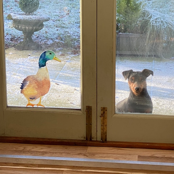 Duck Window Stickers, Duck Window Decal, Spring Duck Window Sticker ...