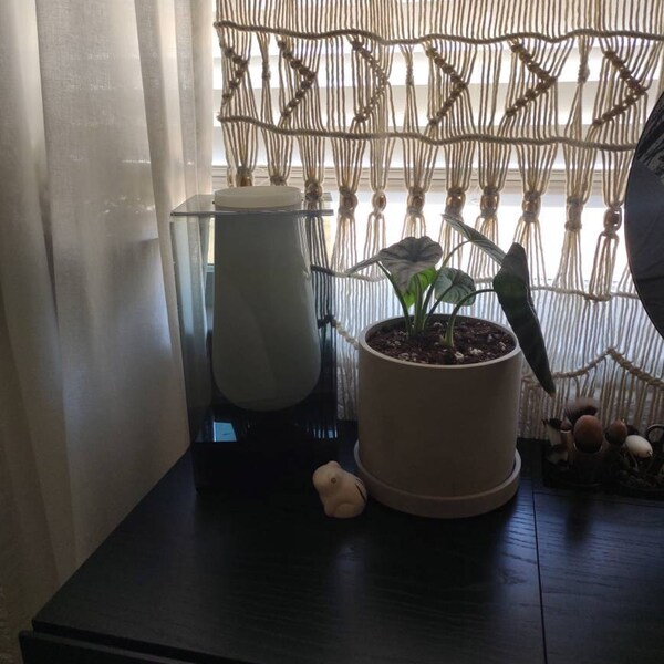 Rare Thomas Callander Campbell Mackie Architectural Etching, Scottish ...