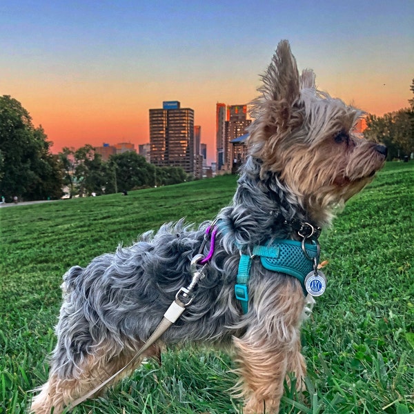 New Look 6484 Sewing Pattern Six Sizes in One Dresses for Kids Sizes 4 ...