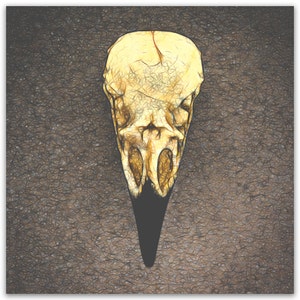 Rotting Skeleton Corpse - Etsy