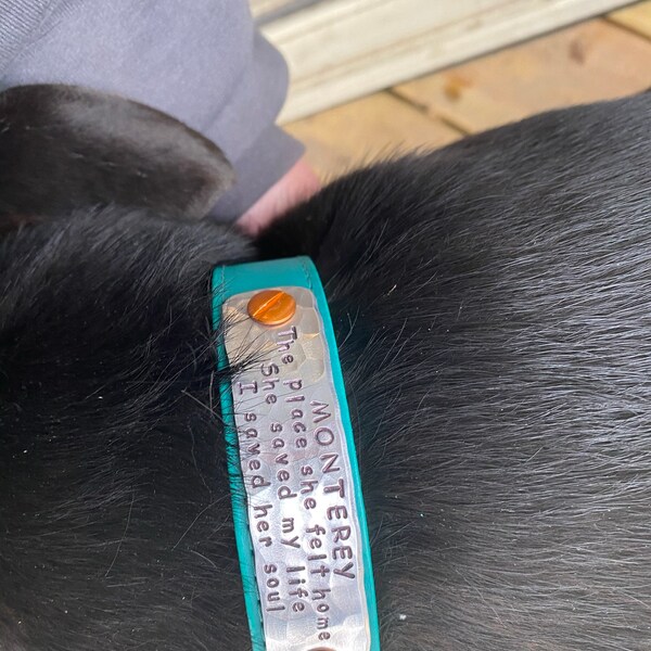 Personalized Bridle Name Tag for Horses | Custom Horse Halter Pet Tag ...