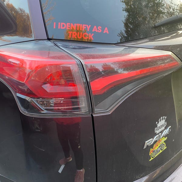 Ginger Inside Funny Car Window Sticker JDM Jap Campervan off Road Rat ...