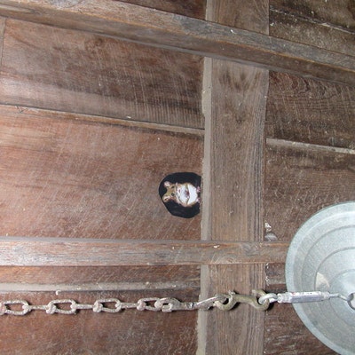 Cute Mouse Hole Wall Sticker Decal for Baseboard / Wall Mini Mural Mice ...