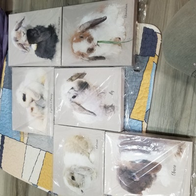 Custom Bird Portrait Beautiful Pet Artwork Custom Parrot - Etsy