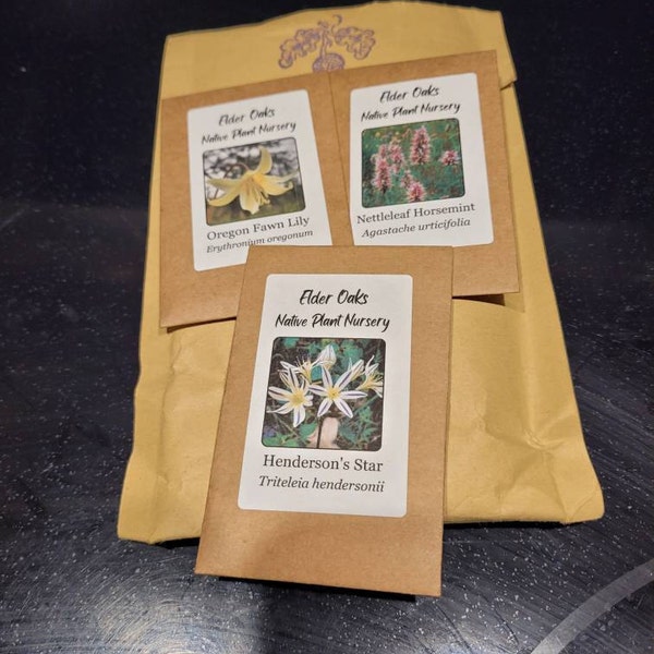 Checker/chocolate Lily (fritillaria Affinis) ~ 100 Seeds *pacific ...