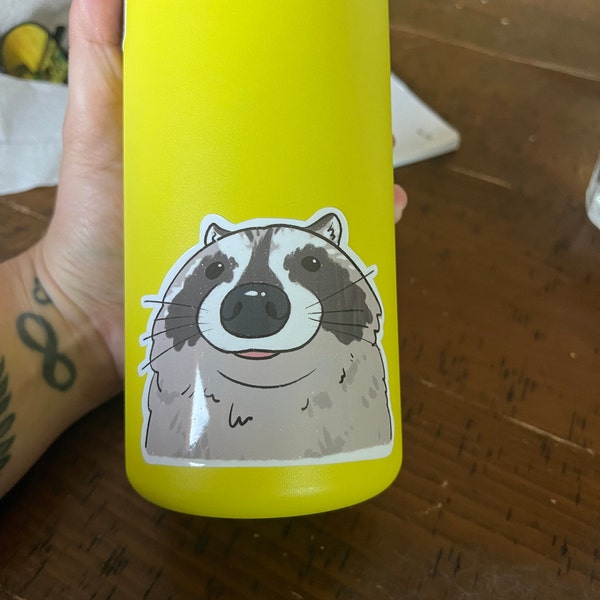 Raccoon Close up | Funny Sticker | Raccoon Sticker | Gifts Under 10 ...