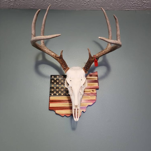 Printable european deer mount plaque patterns