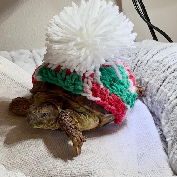 Basketball Crochet Costume for Turtles/ Tortoises - Etsy
