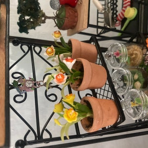 Miniature Water Lily Flower Bunch of Flowers,miniature Blue Color Lotus ...