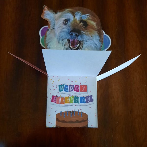 Father's Day Pet Pop-up Card | Dog Card, Photo Card, Greeting Card ...