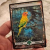 Personalized Pet Magic the Gathering Foil Land - Etsy