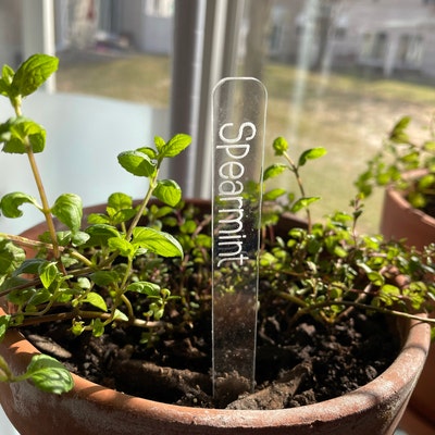 Make Your Money Count, Digital Download, Laser File, Counting Money ...