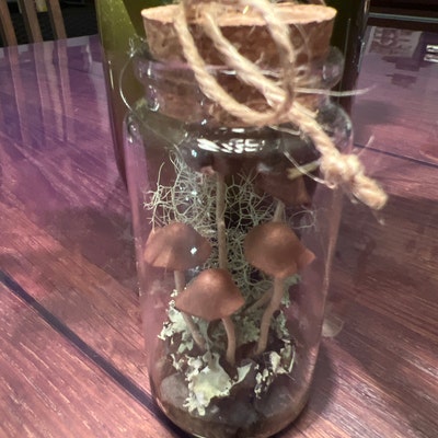 Mushroom Terrarium Psychedelic Shrooms Plant Decor Brown Tiny - Etsy