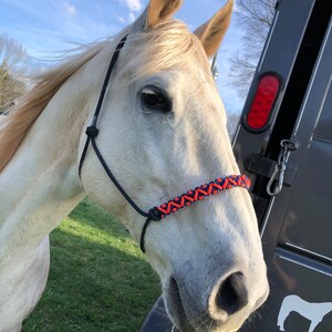 Custom Rope Halter With Matching 10' Lead Rope - Etsy