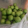 2 Lb ,fresh Green Plum , Greengage ,generik,janerik,seasonal Fruit ...