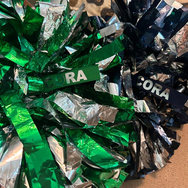 Cheer Dance Cheerleader Pom Pom Name Tag Set of 2 Cheerleader Gift ...