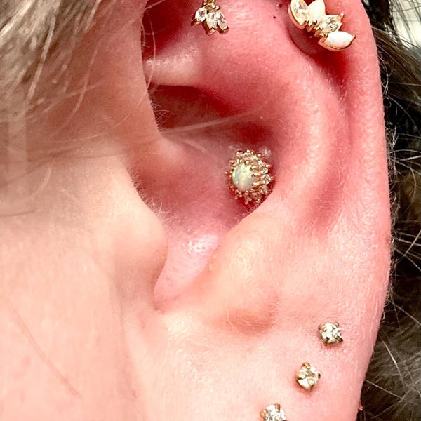 14k Solid Gold Snake Helix Daith Rook Conch Ring Septum Hoop Snake ...