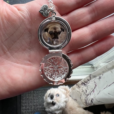 Pet Memorial Locket, Pet Loss, Silver Memorial Locket, Cat Loss, Dog ...