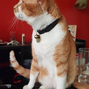 Rifle Paper Co® Cat Collar noir Black & Gold Star Cat Collar ...