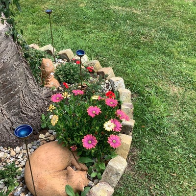 Bee Waterer, Bee Water Stations, Set of Three Cups Garden Sculpture - Etsy