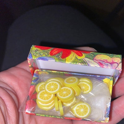 CITRUS LEMON FIMO Slices for Craft in Gift Box Polymer Clay Diy Lemon ...