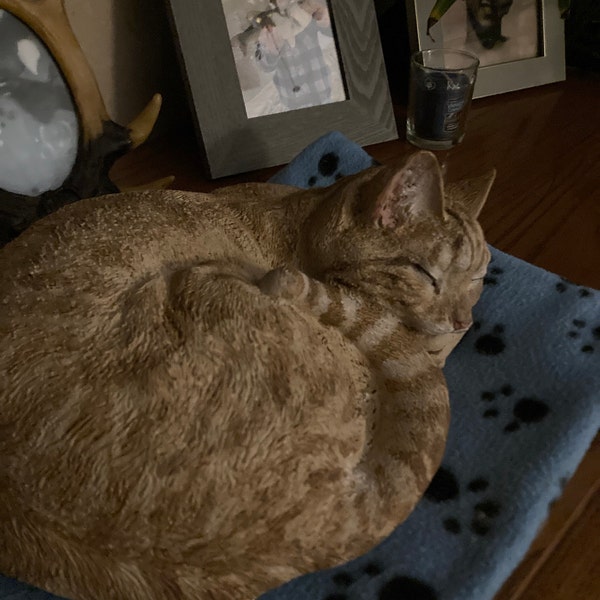 Cat Urn With Personalization *cremation Pet Urn *tabby Cat Funeral ...