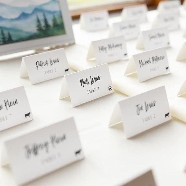 Printed Place Cards With Custom Fonts and Colors - Customized Guest ...