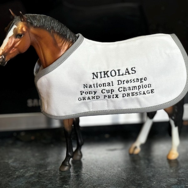 JET DECK With Fully Lined Blanket American Quarter Horse AQHA Champion ...