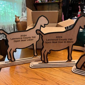 Market Barrow Hog Pig Show Award for Livestock Show Expo 4H Trophy - Etsy