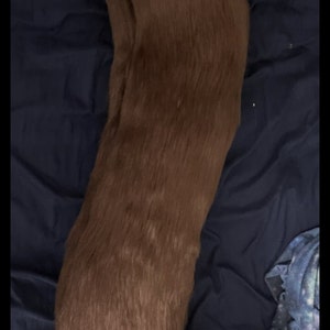 Red Panda Tail Pattern PDF DOWNLOAD - Etsy